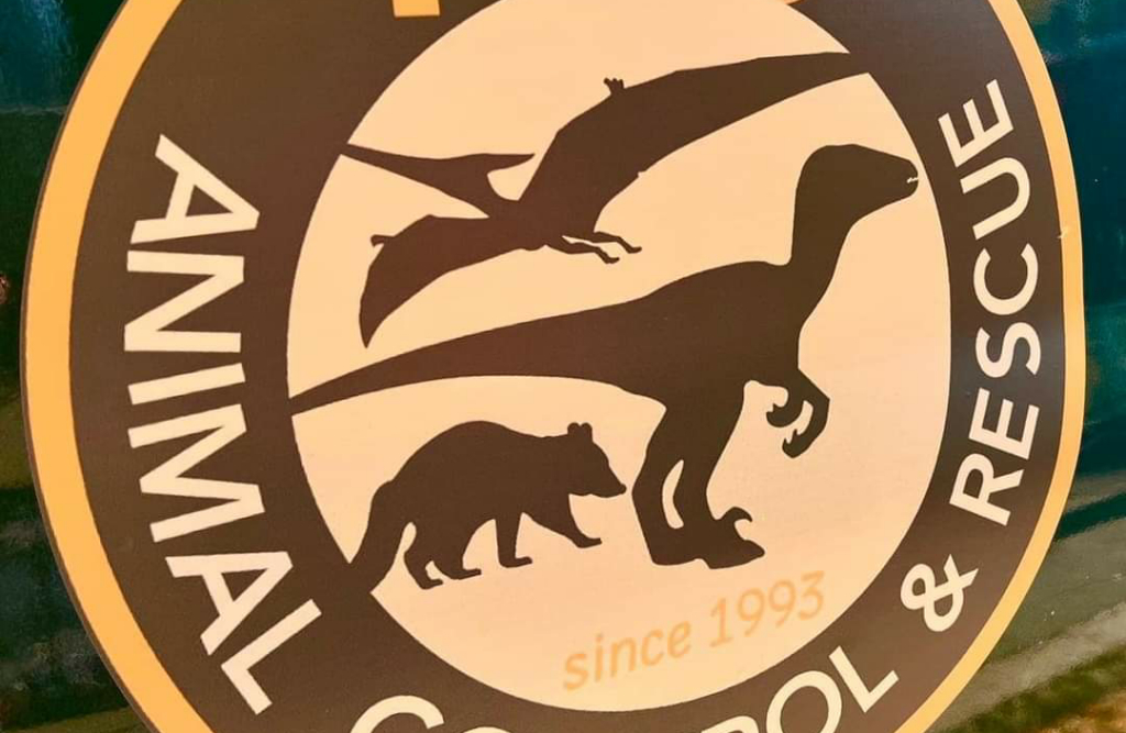 Photos from the set of Jurassic World: Rebirth reveal bio-hazard Animal ...
