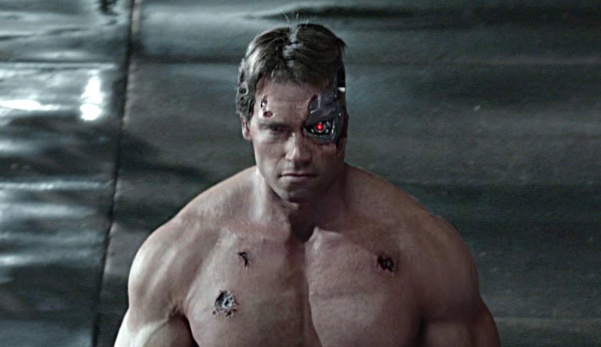 The Terminator 6