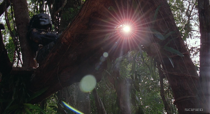 Predator Movie Images Image Gallery