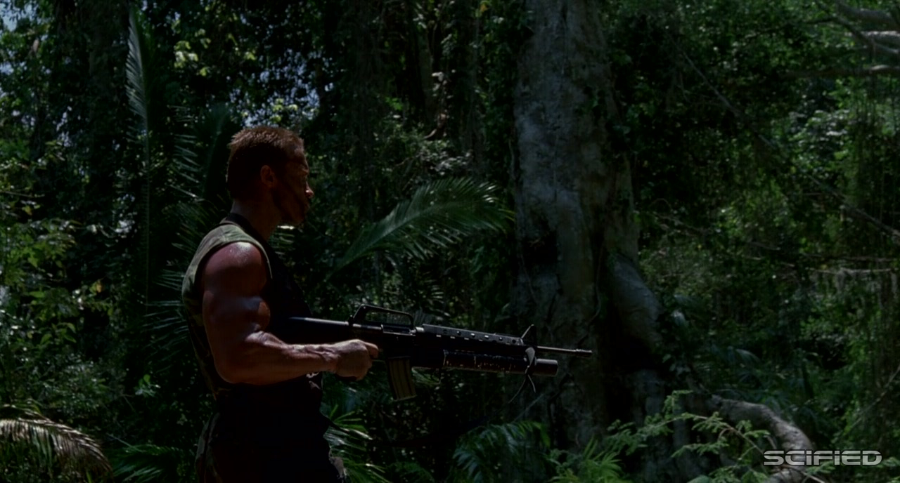 Predator - Approaching Billy (Predator Images Image Gallery)