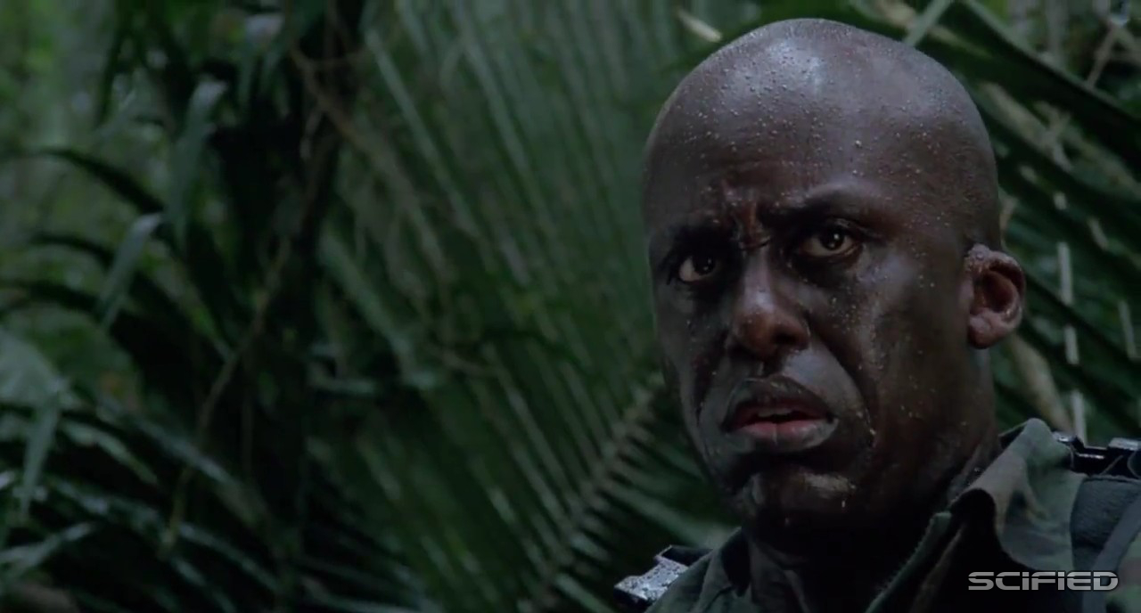 Predator - Those Eyes (Predator Images Image Gallery)