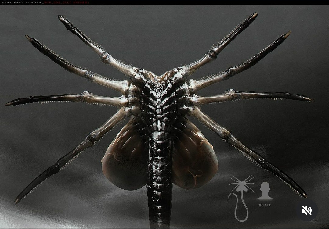 Alien: Romulus Facehugger by Dane Hallett (Alien: Romulus Concept Art ...