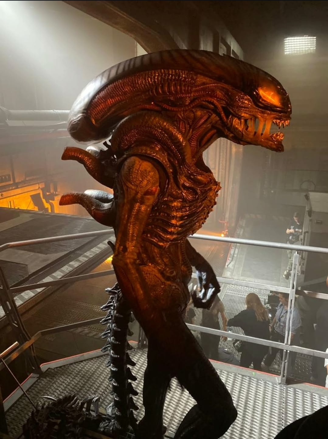 Alien: Romulus Xenomorph suit (Alien: Romulus Images)