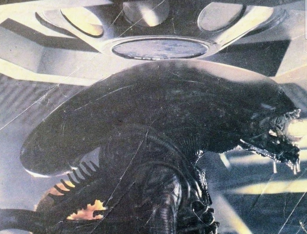 Rare photo of the Xenomorph suit from Alien (1979) (Alien Images Images)