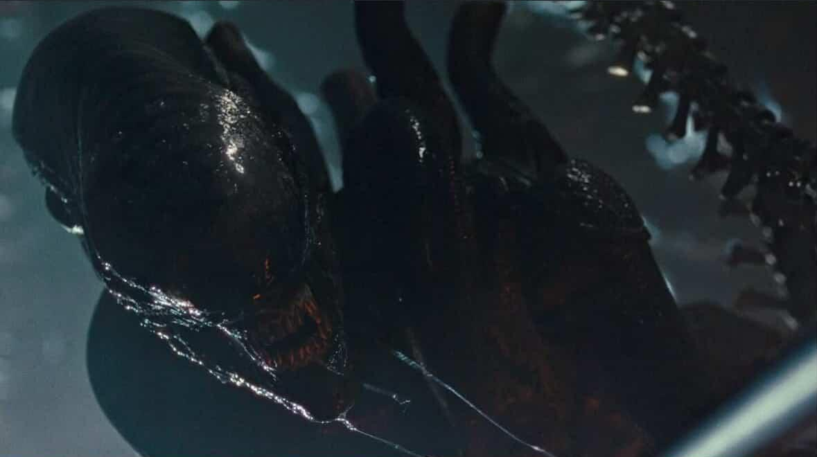 Romulus Station Xenomorph (Alien: Romulus Images)