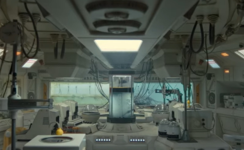 Alien: Romulus Offspring Discussion - Gender specific effects of Black ...