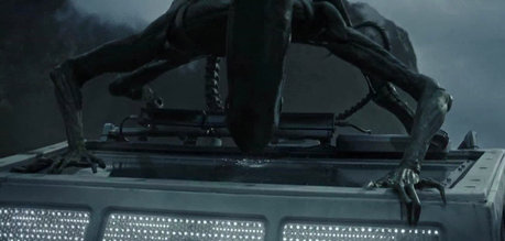 The Protomorph looks - Alien: Covenant Forum