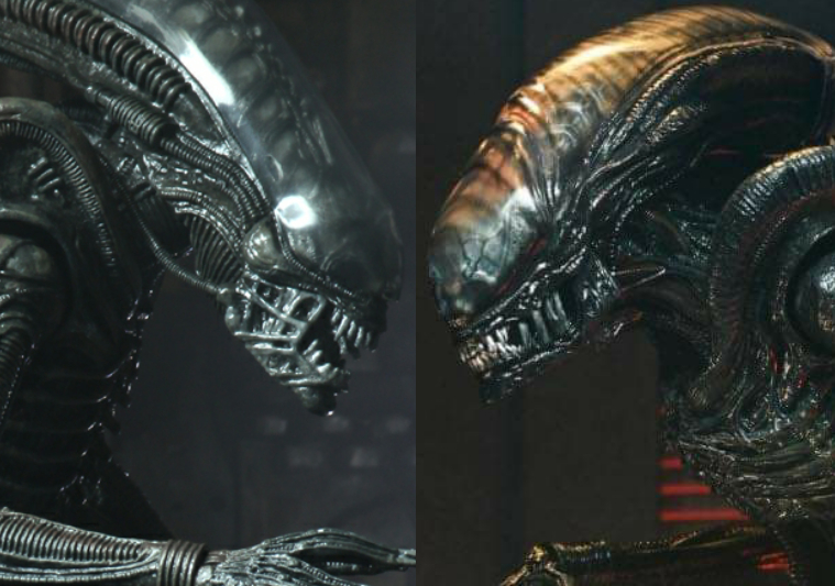 Big Chap vs. Scorched Xenomorph comparison - Alien: Romulus Forum