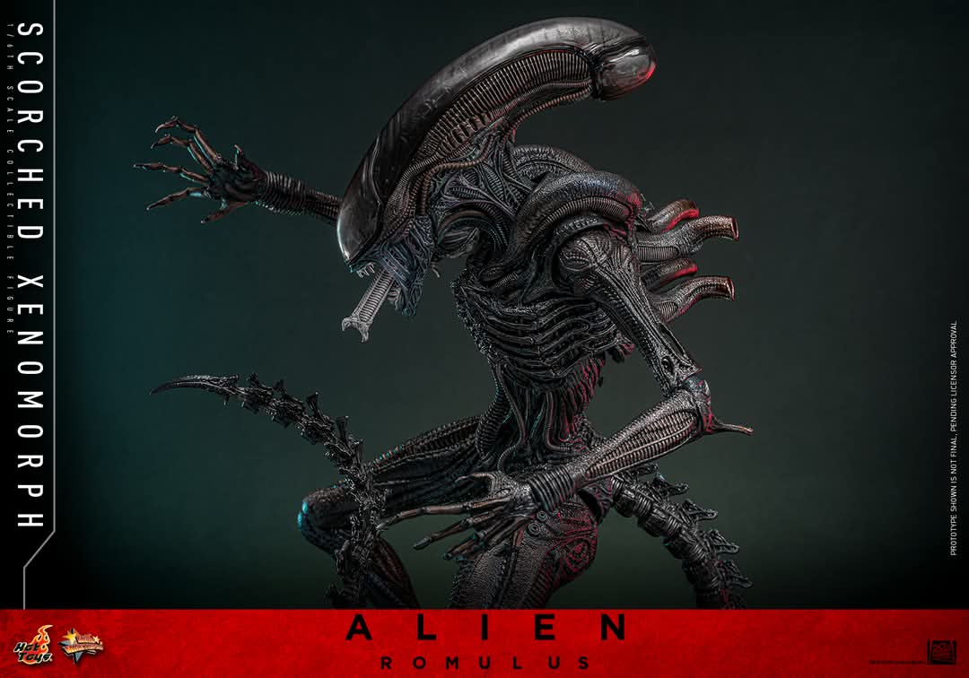 Hot Toys Alien: Romulus Scorched Xenomorph collectible figure images ...