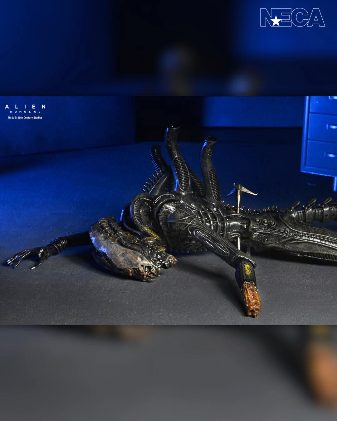 NECA unveil Alien: Romulus - Deluxe Suspended Lab Xenomorph XX121 ...