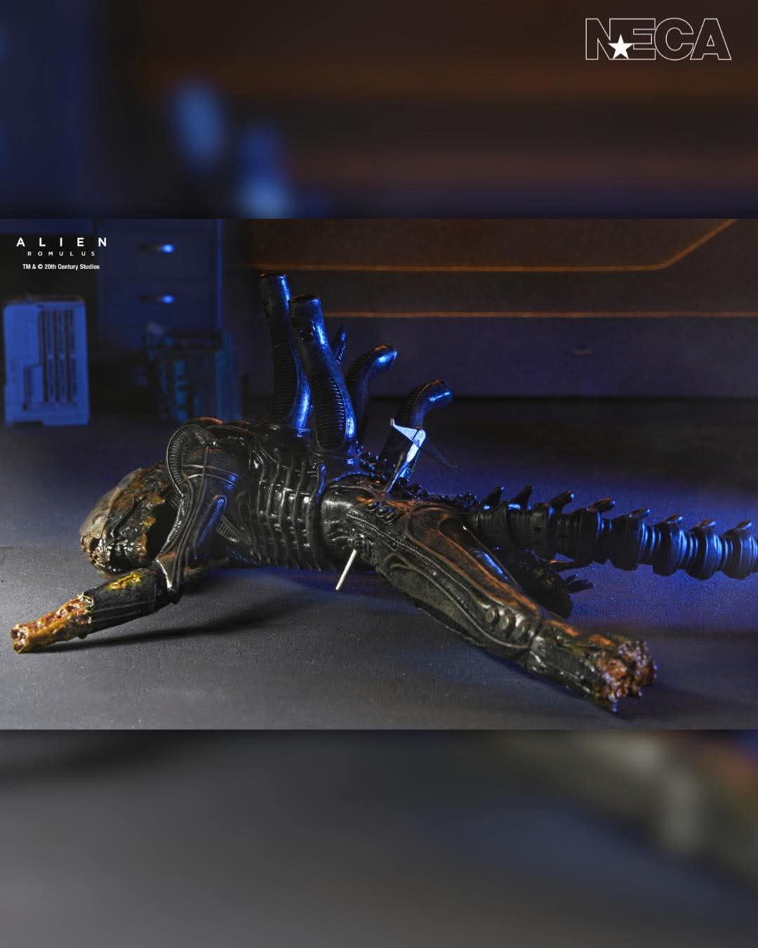 NECA unveil Alien: Romulus - Deluxe Suspended Lab Xenomorph XX121 ...