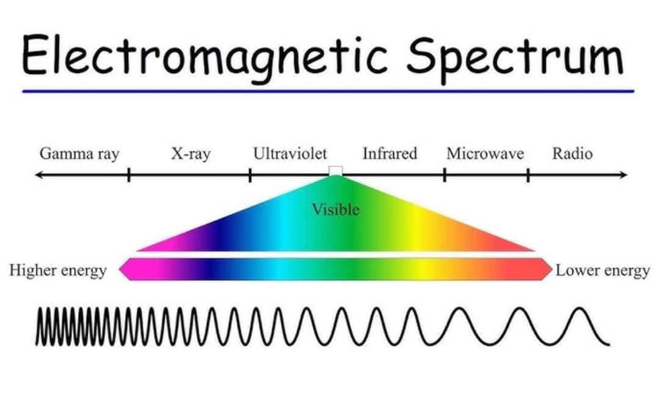Gamma Goji: Godzilla will evolve in Godzilla x Kong: The New Empire (2024)!