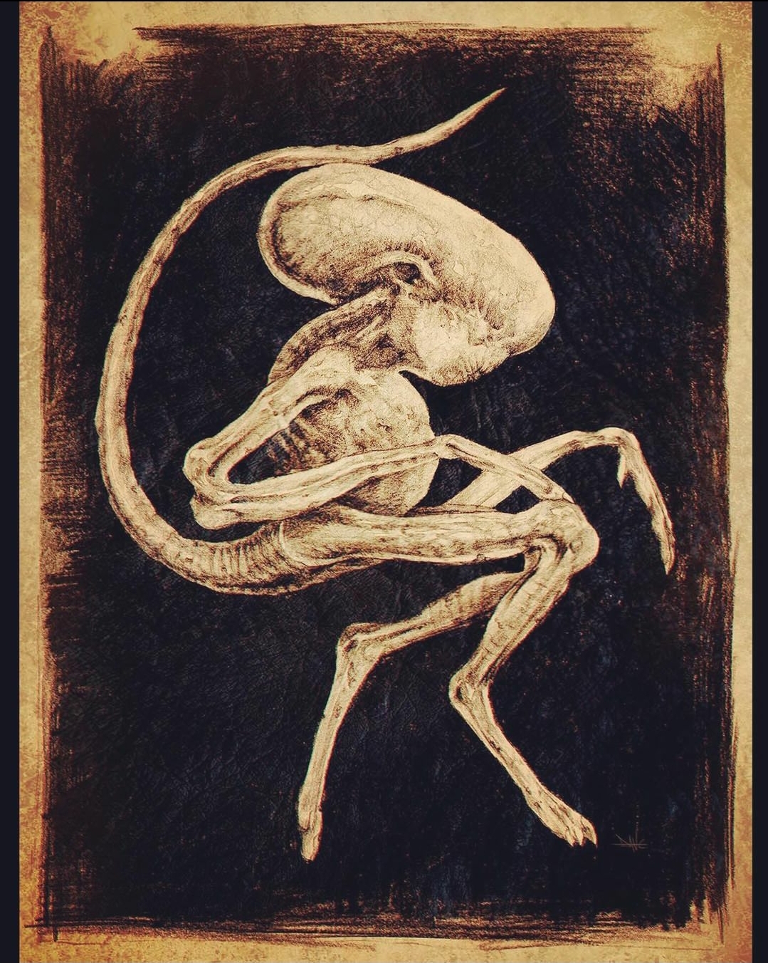 Alien: Romulus' Dane Hallett shares deformed Facehugger and Alien artwork!