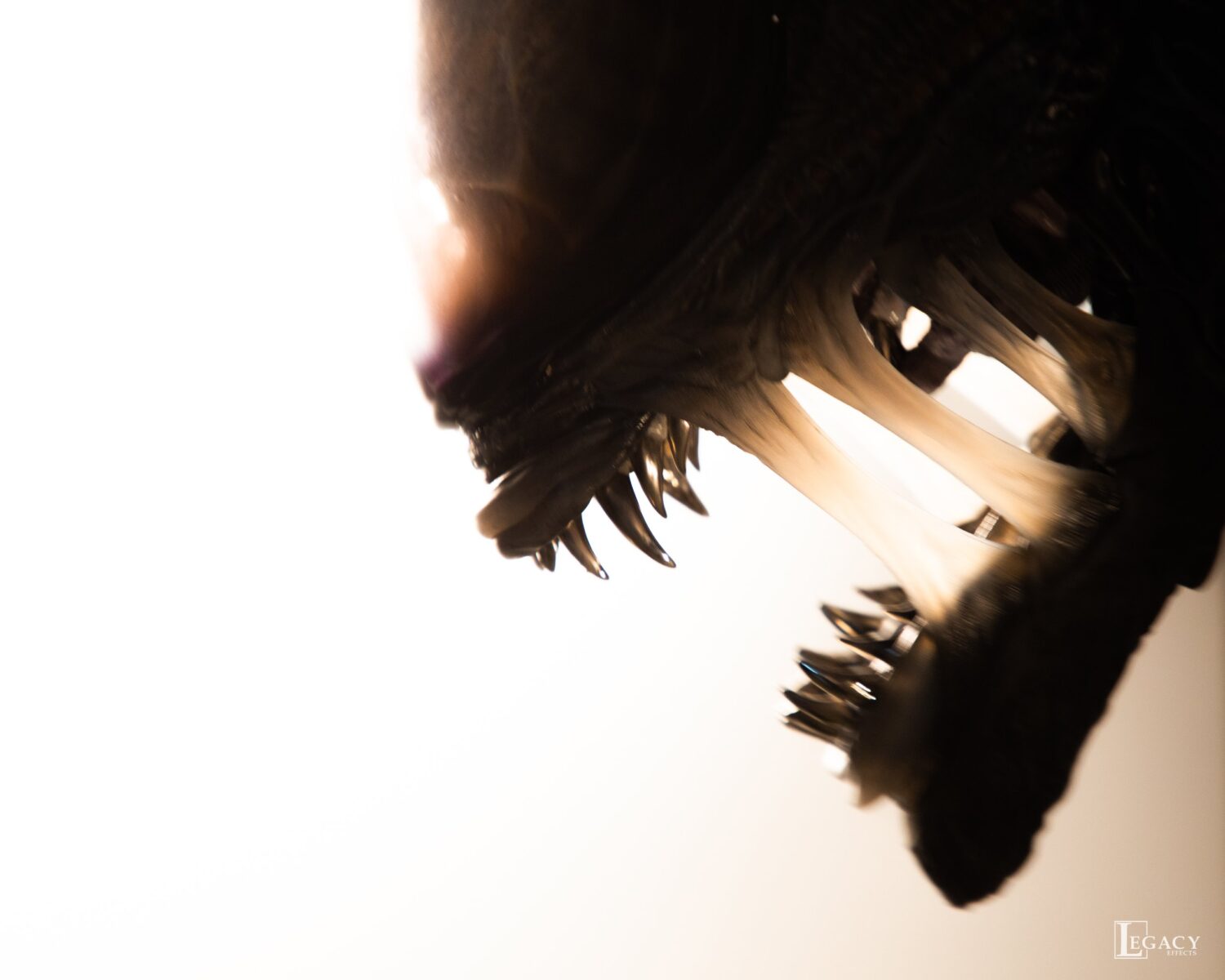 Legacy Effects unveil Behind The Scenes details & photos from the set ...