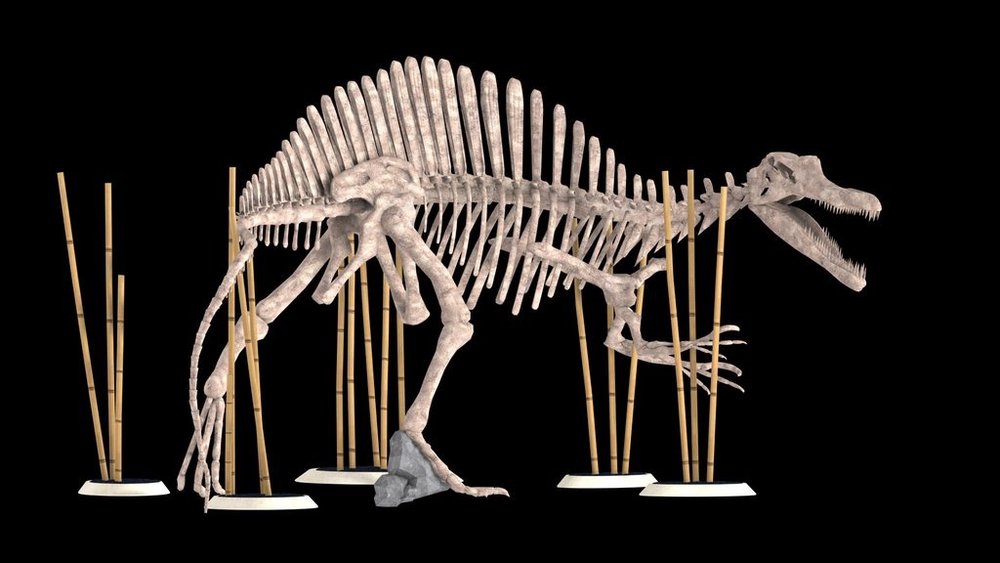 Jurassic Explorer will let you tour the entire Jurassic World theme park!