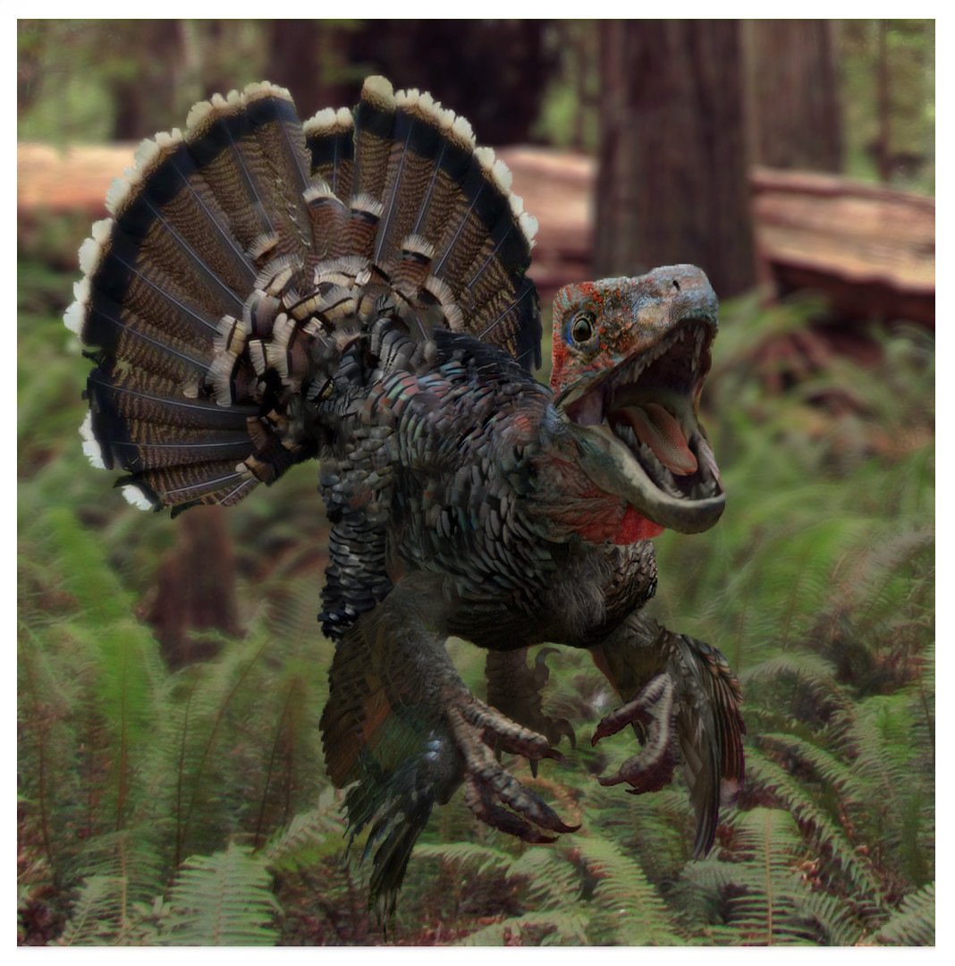 HAPPY THANKSGIVING MY DUDES! - The Member Lounge Forum